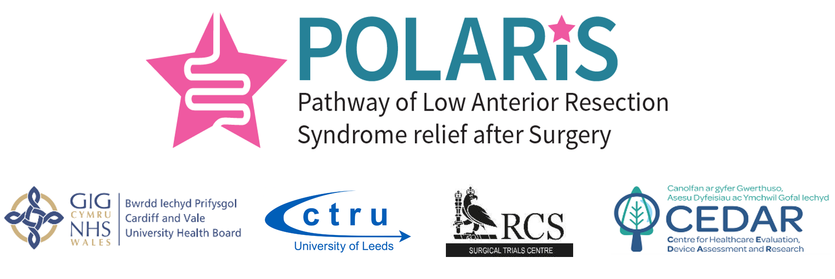 PIS Optional Additional Information • CTRU Leeds Research Portal